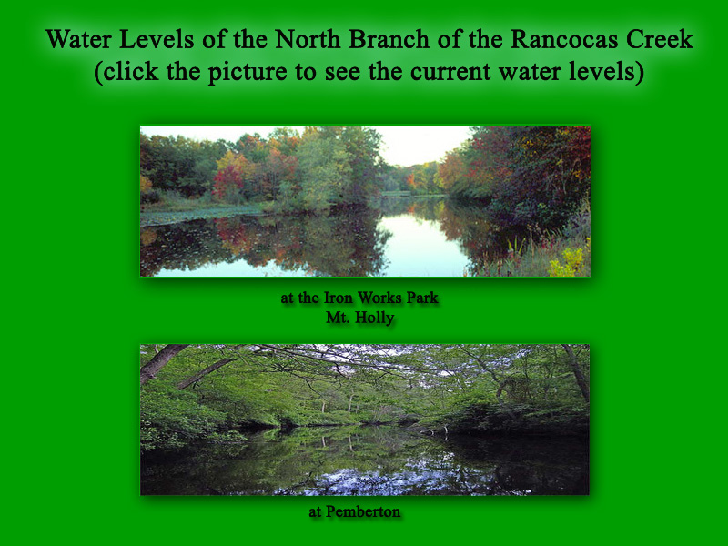 Water Level of the Rancocas Creek